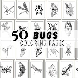 Beetles Coloring Pages, Printable Sheets PDF, Insects, Nature Study ...