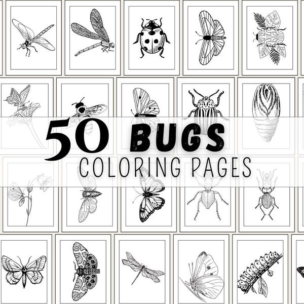 Moth Coloring Sheets - Etsy UK