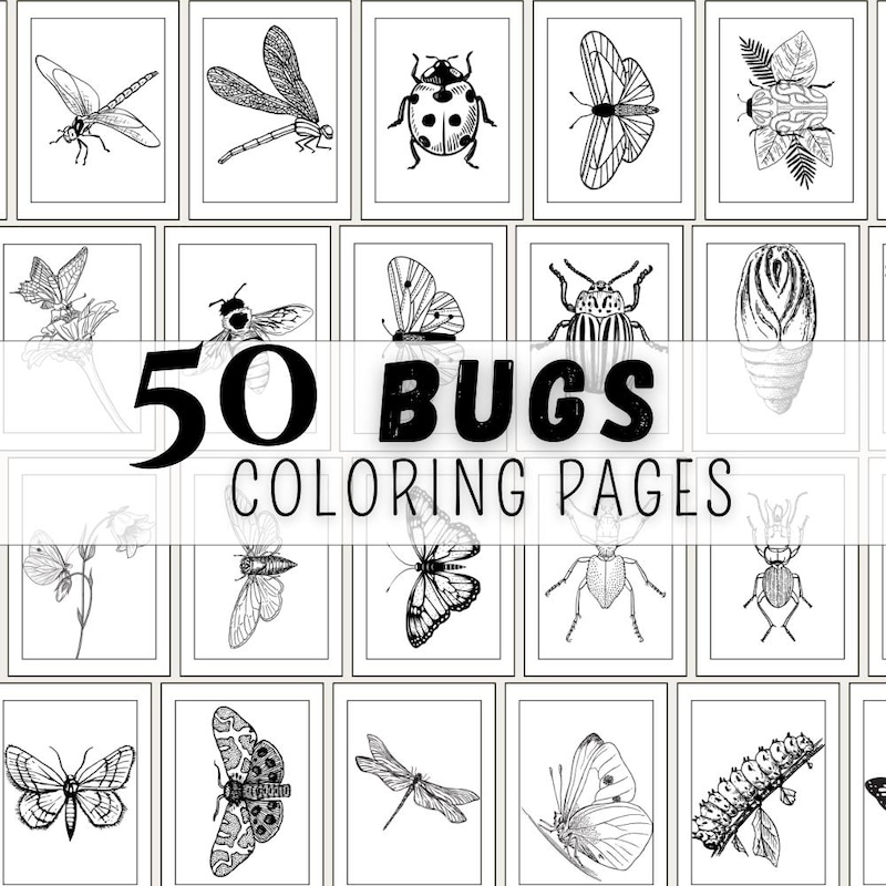 Insects Colouring Book - Etsy UK