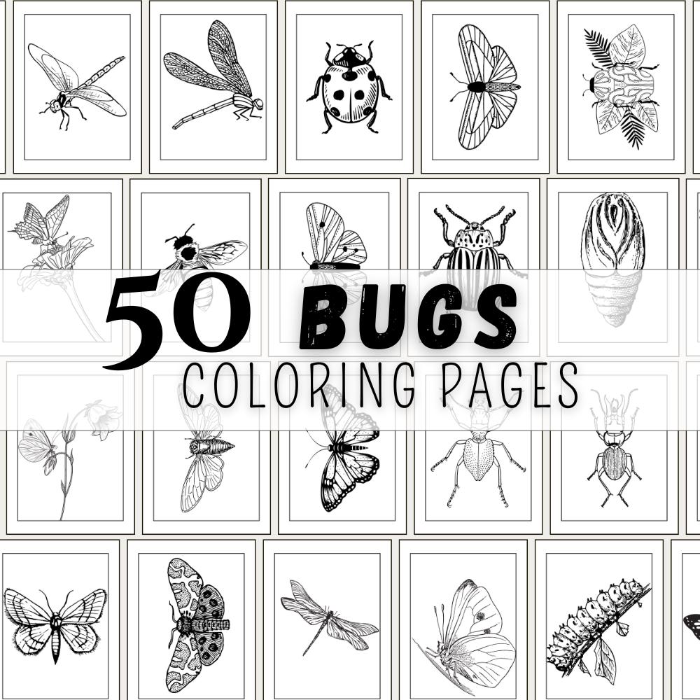 Beetles Coloring Pages, Printable Sheets PDF, Insects, Nature Study ...