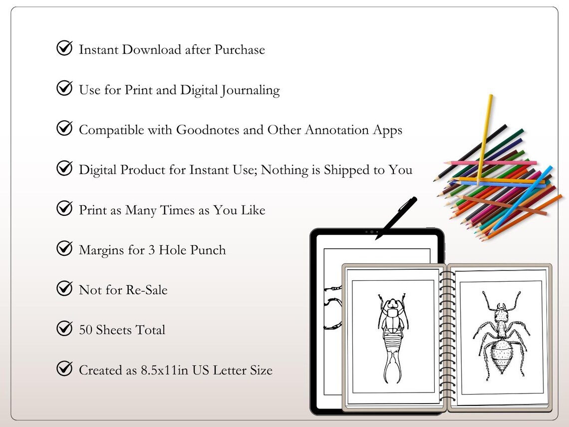 Beetles Coloring Pages, Printable Sheets PDF, Insects, Nature Study ...