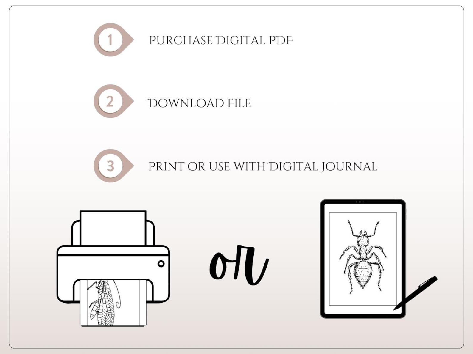 Beetles Coloring Pages, Printable Sheets PDF, Insects, Nature Study ...