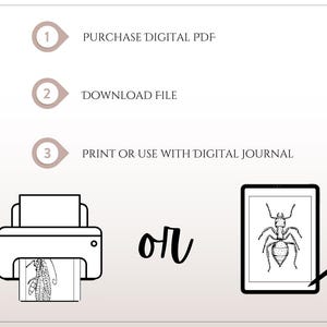 Beetles Coloring Pages, Printable Sheets PDF, Insects, Nature Study ...