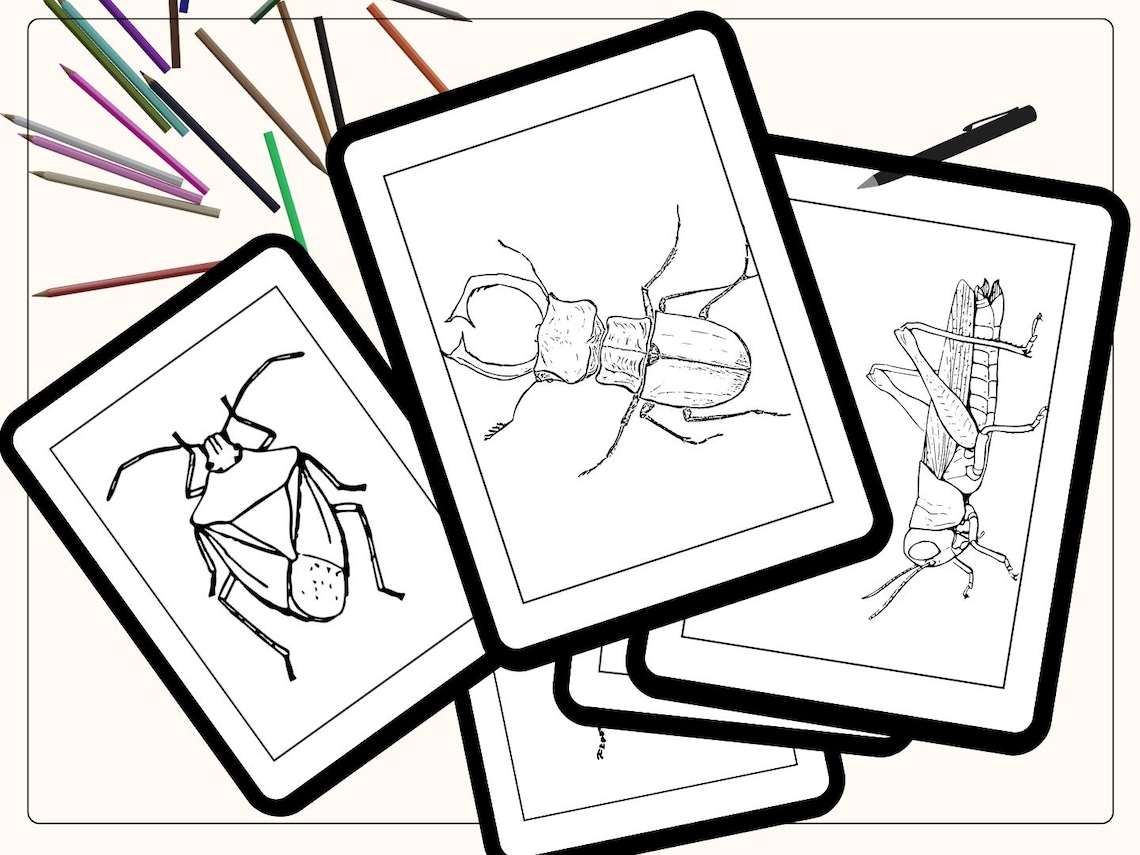Beetles Coloring Pages, Printable Sheets PDF, Insects, Nature Study ...