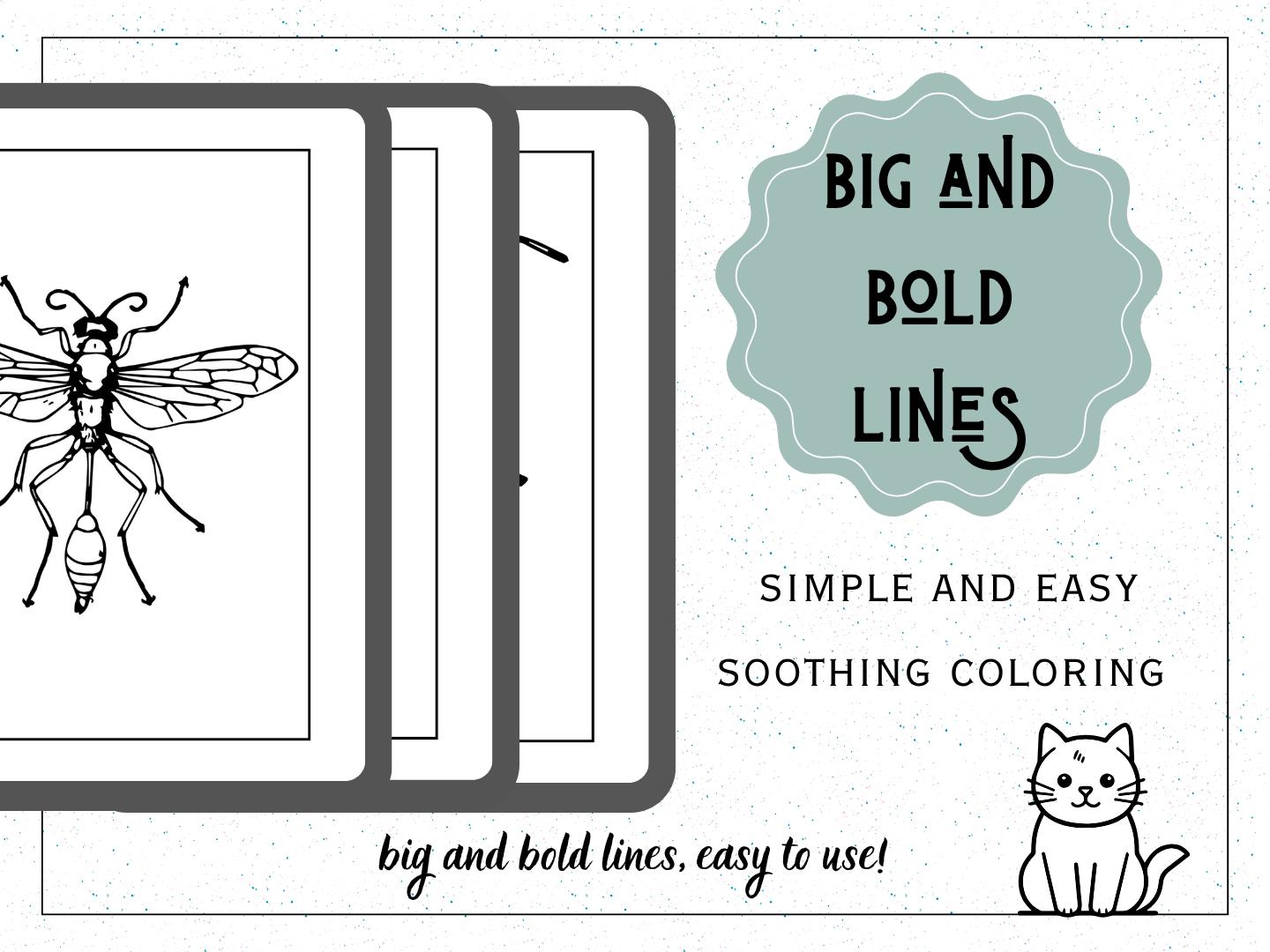 Beetles Coloring Pages, Printable Sheets PDF, Insects, Nature Study ...