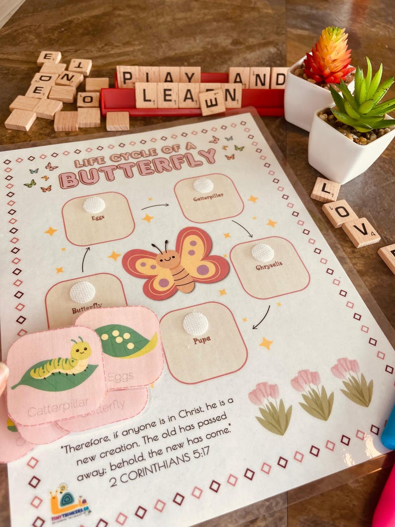 Life Cycle of a Butterfly Printable for Kids | Christian Homeschool ...