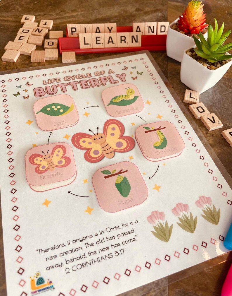 Life Cycle of a Butterfly Printable for Kids | Christian Homeschool ...