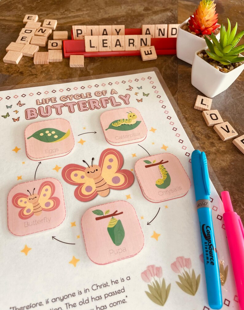 Life Cycle of a Butterfly Printable for Kids | Christian Homeschool ...