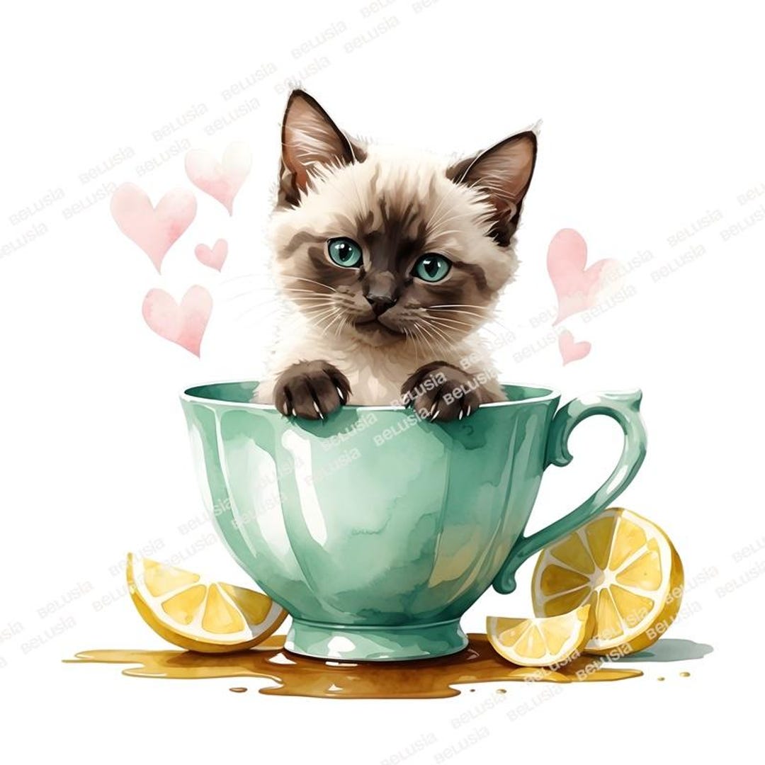 18 PNG Kitten in Teacup Clipart, Watercolor Cat in Cup, Cute Cat Mug ...