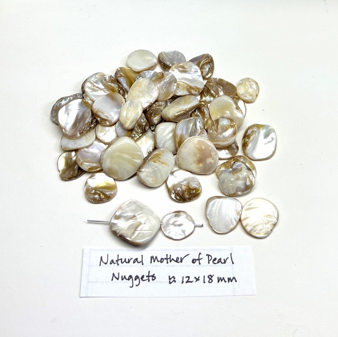 Shell Nuggets and Disks - Etsy
