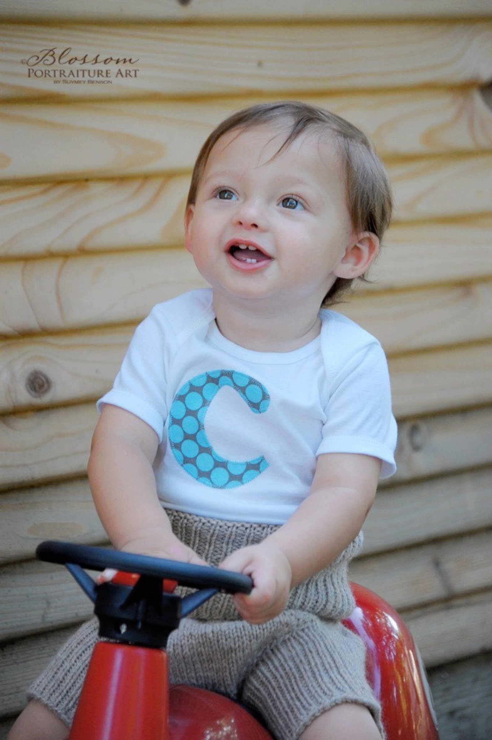 You Pick 3 Oliver Blu Designs Baby Bodysuits or Toddler Tshirts - Any ...