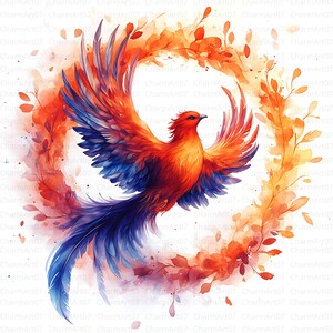 Magical Phoenix Watercolor PNG Set, Mythical Phoenix 24 Clipart Bundle ...