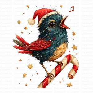 Christmas Robin Clipart: 20 Watercolor Whimsical Bird JPG (digital ...