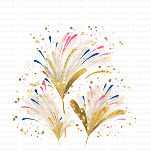 20 Colorful Fireworks Clipart, Rainbow Firecrackers, Sparkling ...