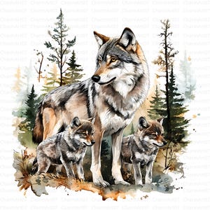 14 Wolf in Forest Clipart, High-quality Jpgs , Wolf in Snowy Landscape ...