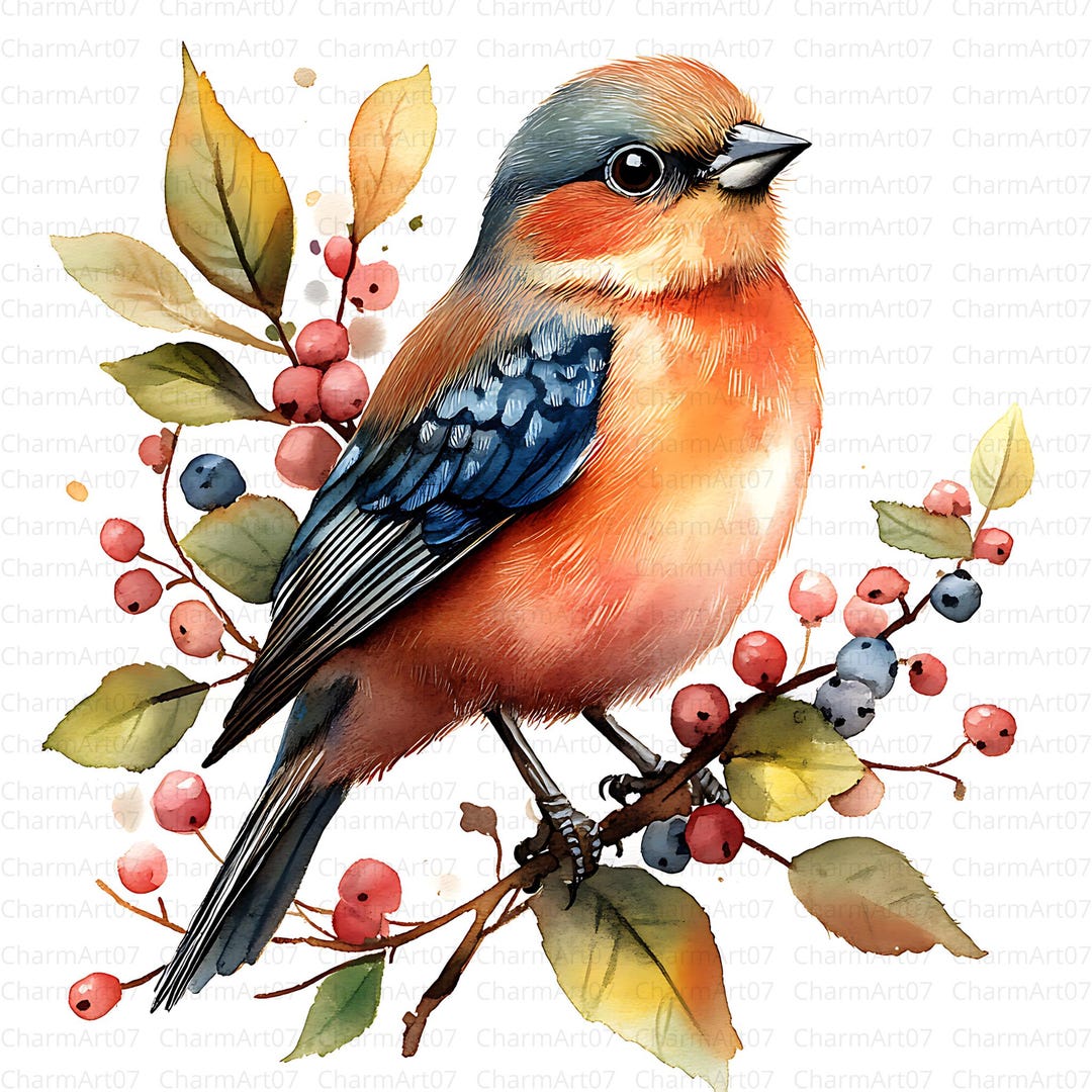 30 Cute Little Birds Clip Art Image, High Quality Jpgs , Digital ...