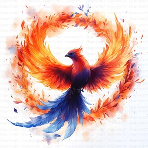 Magical Phoenix Watercolor PNG Set, Mythical Phoenix 24 Clipart Bundle ...