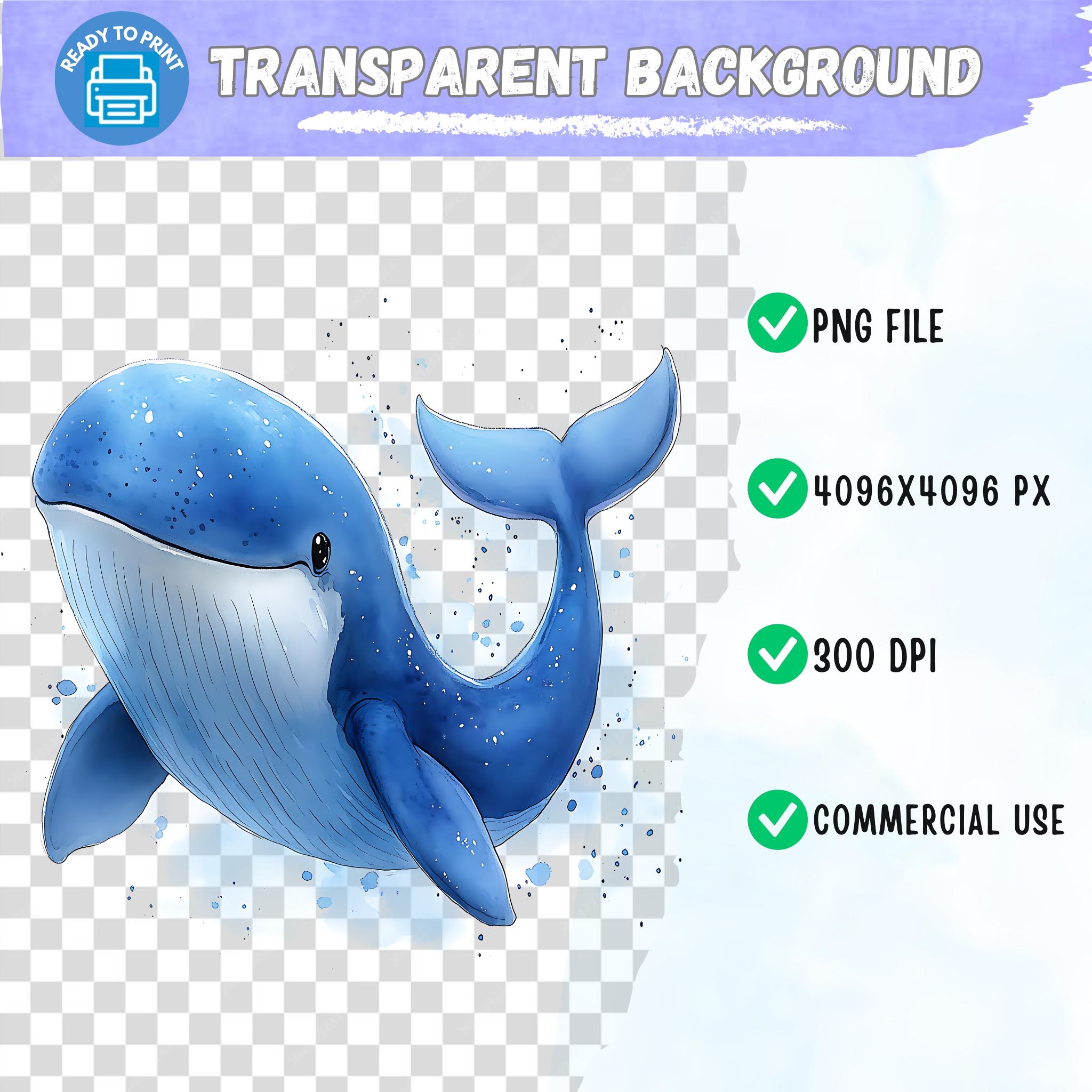14 Cartoon Whale Clipart Bundle, Whale Illustration, Printable ...