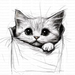 20 Cat Line Art Clip Art, Cat Line Drawing,animal Line Art, High ...