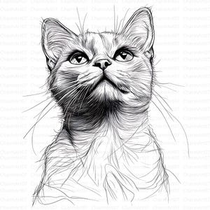 20 Cat Line Art Clip Art, Cat Line Drawing,animal Line Art, High ...