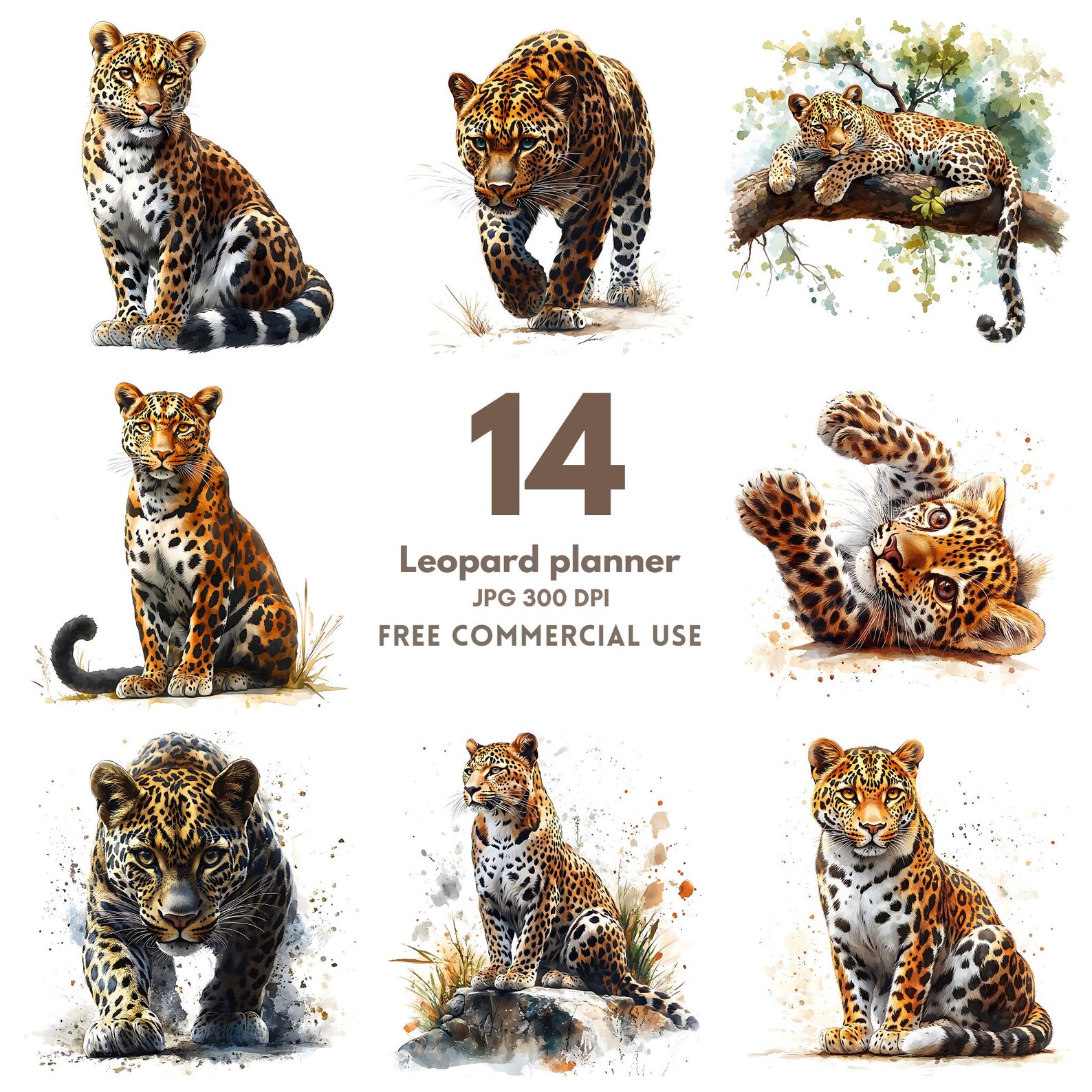 14 Watercolor Leopard Clipart Bundle, High Quality Jpgs, Wild Safari ...