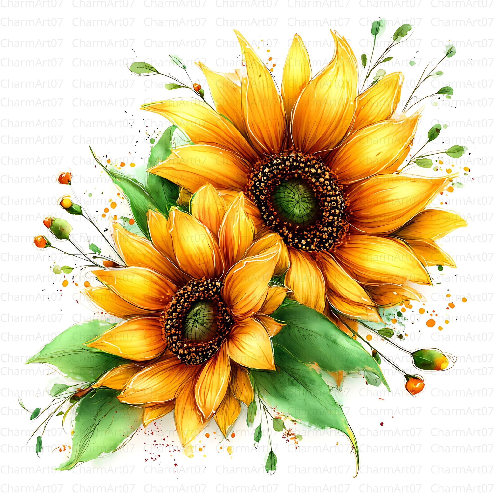 14 Watercolor Sunflower Clipart, Floral Art, High Resolution Jpgs ...
