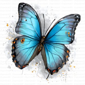Whimsical Butterfly Clipart Bundle, Colorful JPG Graphics - Etsy