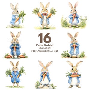 16 Peter Rabbit & Carrot Clipart, Beatrix Potter Style, High Quality ...