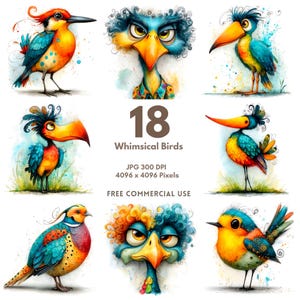 Whimsical Birds Clipart: Watercolor Style, Funny Bird Illustrations ...