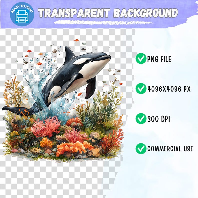 20 Watercolor Killer Whale Clipart Ocean Clipart, PNG 300 DPI, Digital ...