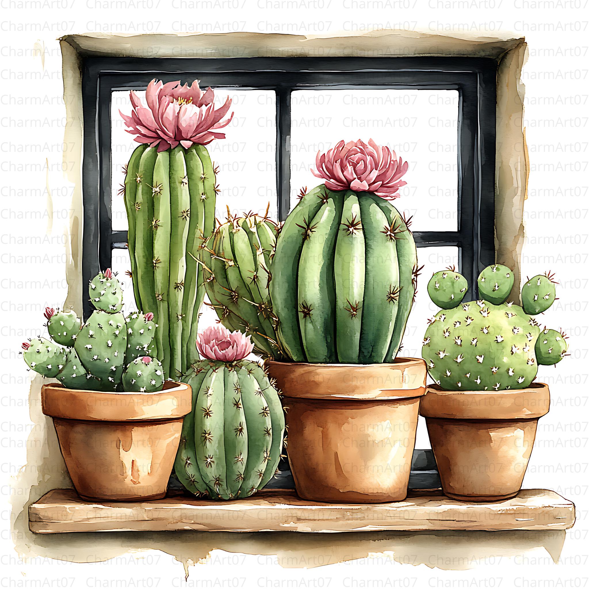 24 Potted Cactus Clipart , Flowerpots Clipart, Watercolor Clipart, High ...
