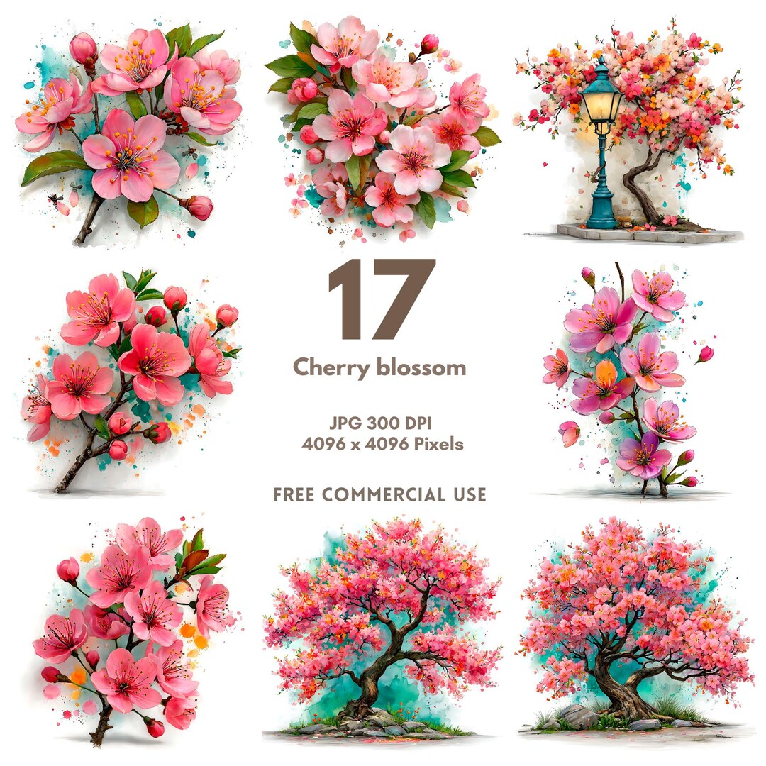 Watercolor Cherry Blossom Clipart Bundle, Sakura Branch (JPG) - Etsy