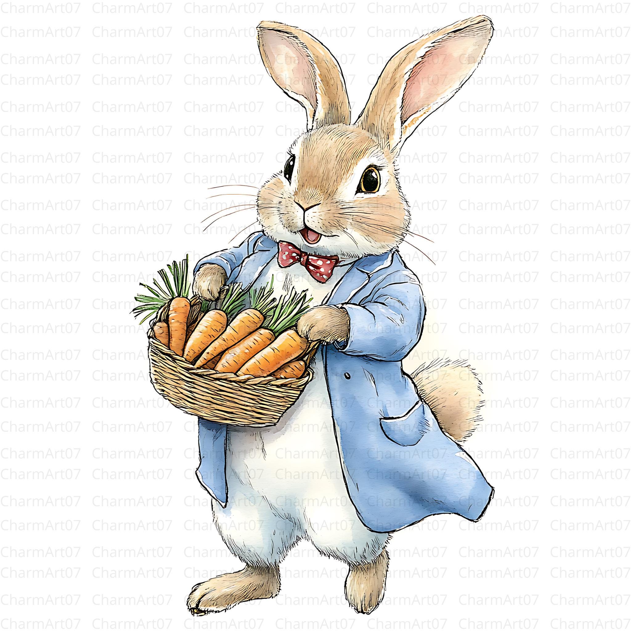 16 Peter Rabbit & Carrot Clipart, Beatrix Potter Style, High Quality ...