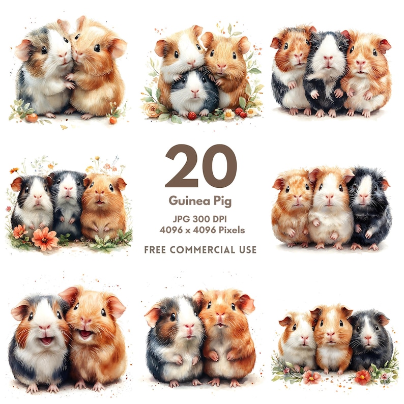 20 Clipart Cute Watercolor Guinea Pig, Cute Guinea Pig, Printable ...