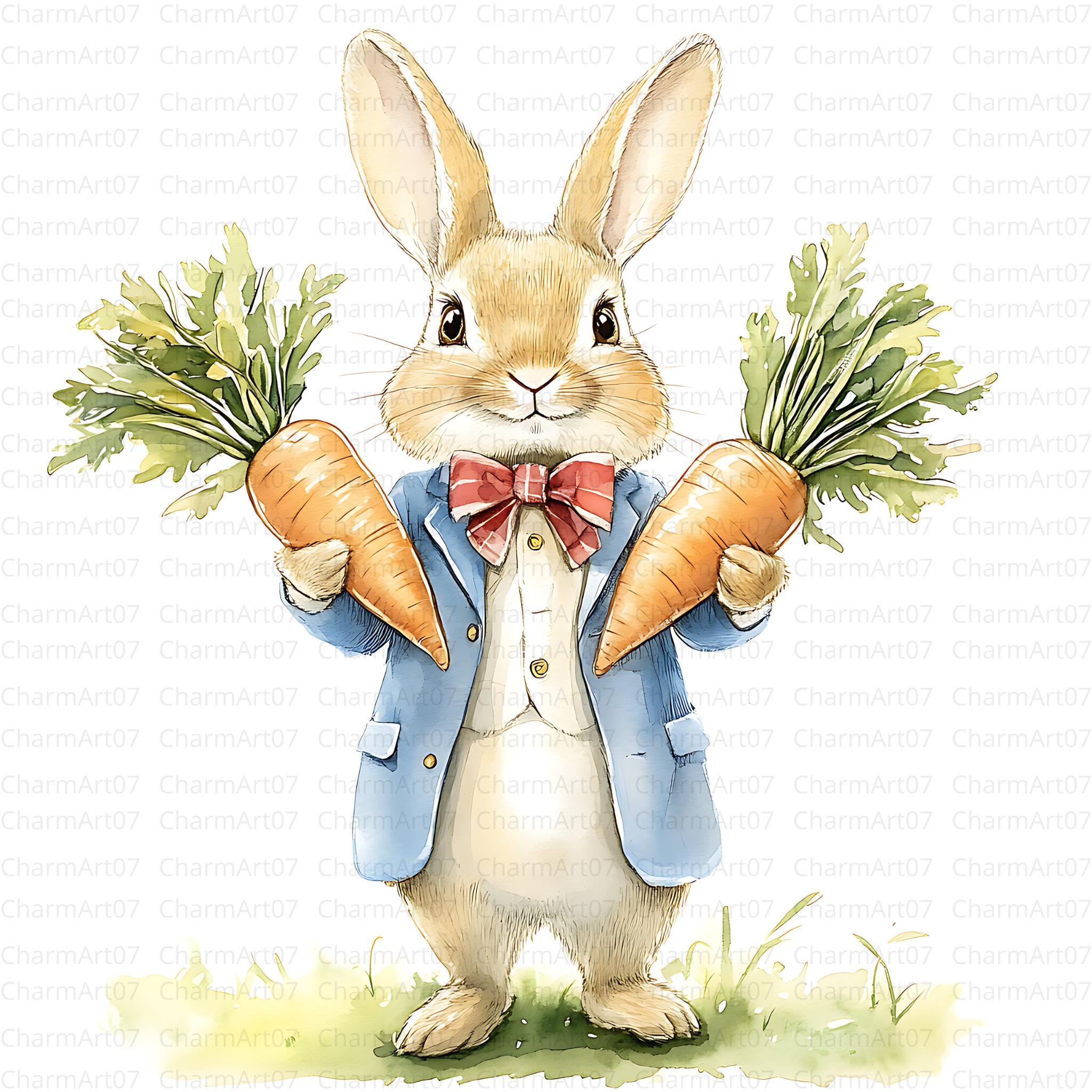 16 Peter Rabbit & Carrot Clipart, Beatrix Potter Style, High Quality ...