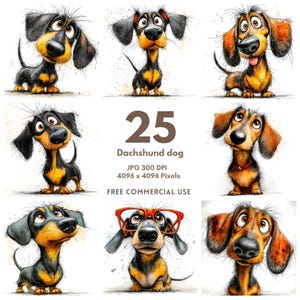 25 Dachshund Dog Clipart, Cute Wiener Dog Art, Printable Watercolor ...