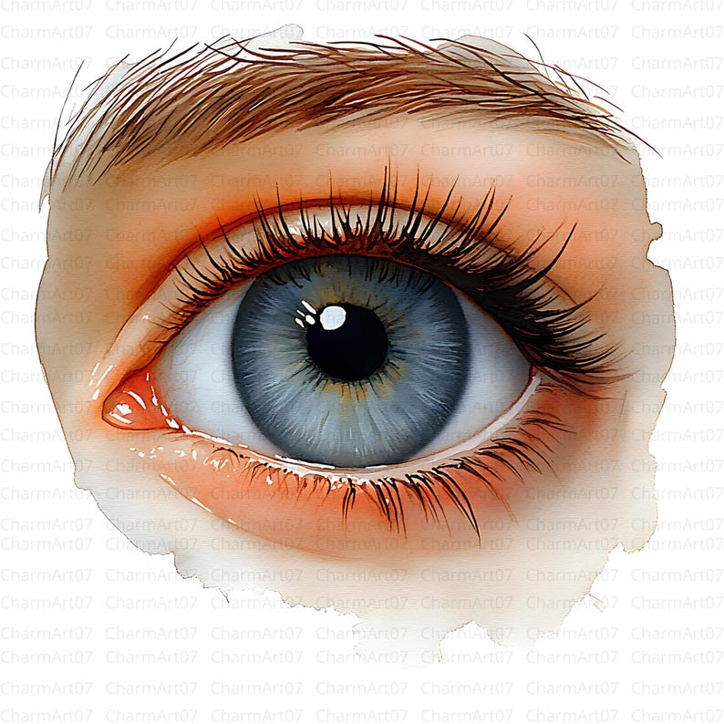 23 Realistic Eyes Clipart, Human Eye Clipart, High Quality Jpgs ...