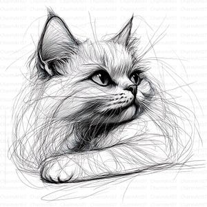 20 Cat Line Art Clip Art, Cat Line Drawing,animal Line Art, High ...