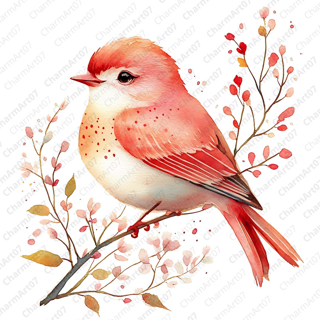 22 Cute Little Birds Clip Art Image, High Quality Jpgs , Digital ...