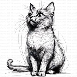 20 Cat Line Art Clip Art, Cat Line Drawing,animal Line Art, High ...