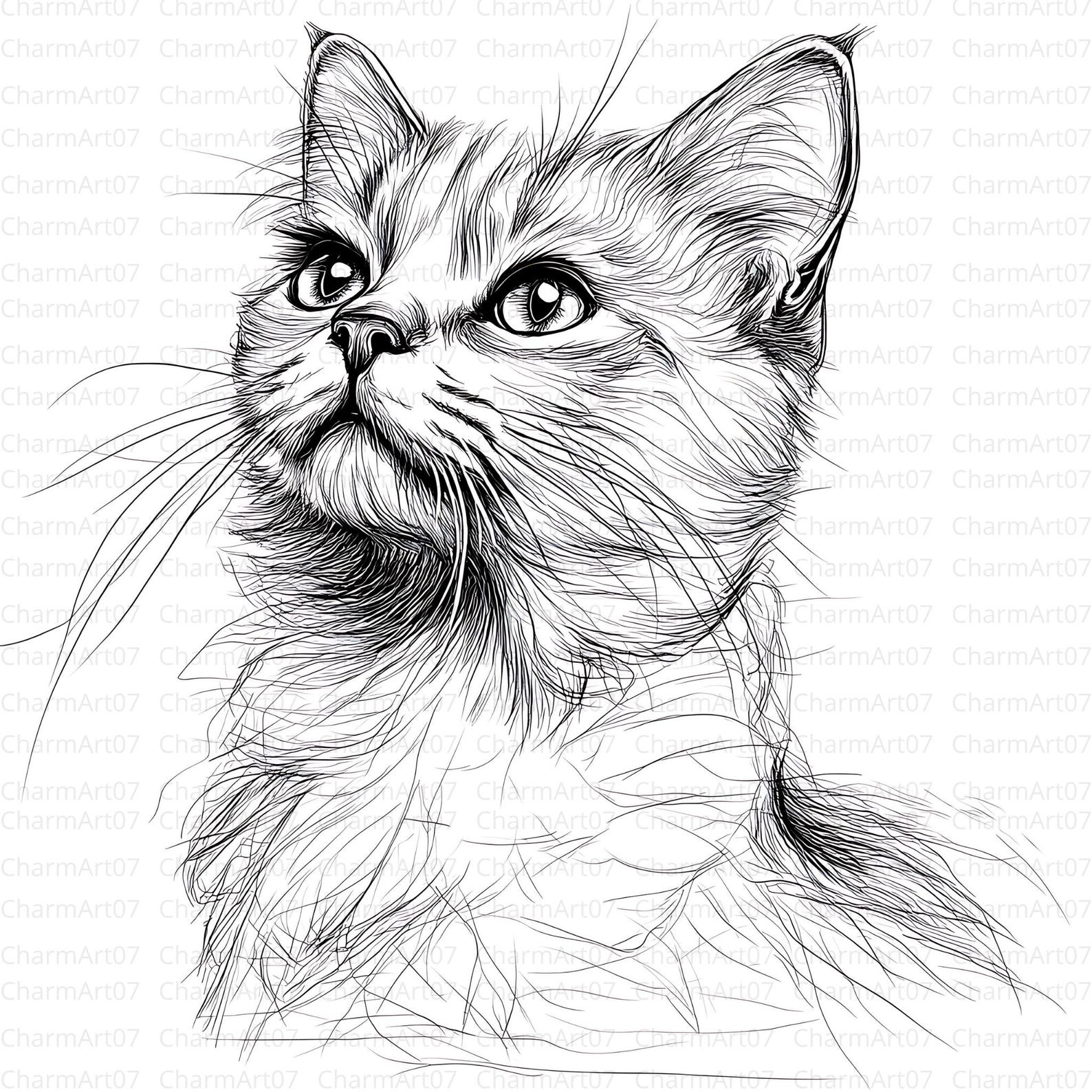 20 Cat Line Art Clip Art, Cat Line Drawing,animal Line Art, High ...