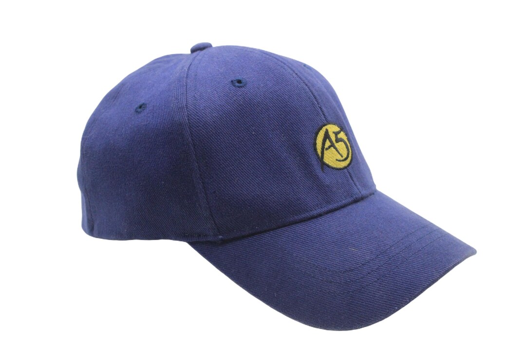 Vintage the North Face A5 Series Cap Big Logo Blue Outdoor 00s Hat ...
