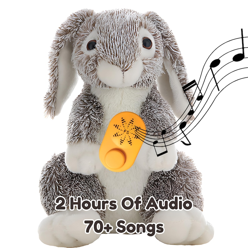 Bounce the Bunny: Any Song or Personalized Special Audio in A Stuffed ...