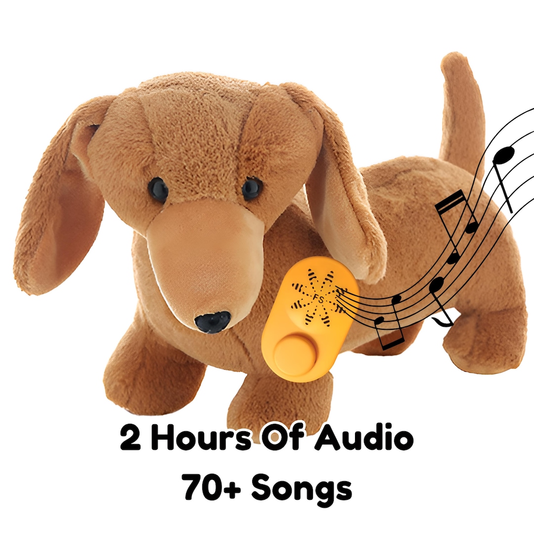 Willie the Weiner Dog: Any Song or Personalized Special Audio in A ...