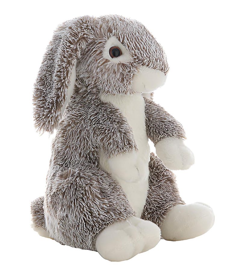 Bounce the Bunny: Any Song or Personalized Special Audio in A Stuffed ...