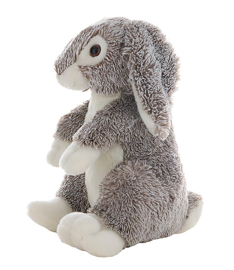 Bounce the Bunny: Any Song or Personalized Special Audio in A Stuffed ...