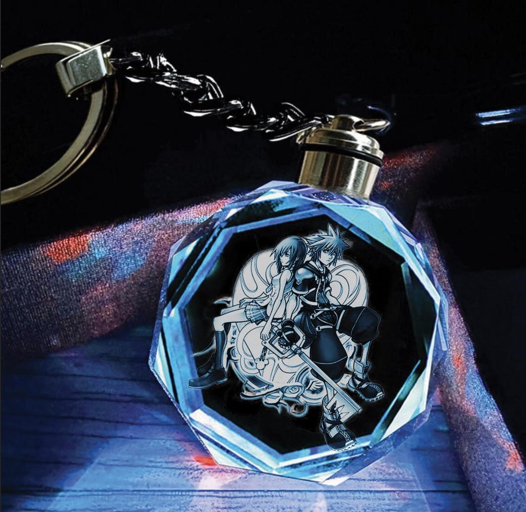 Custom Hand Made - Sora and Kairi Inspired LED Color Changing K9 ...