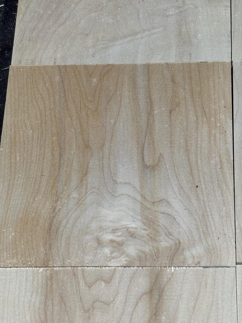 9 (nine) Hard Maple Blank Pieces Kiln Dried (6 1/2" X 6 1/2" X 3/4 ...