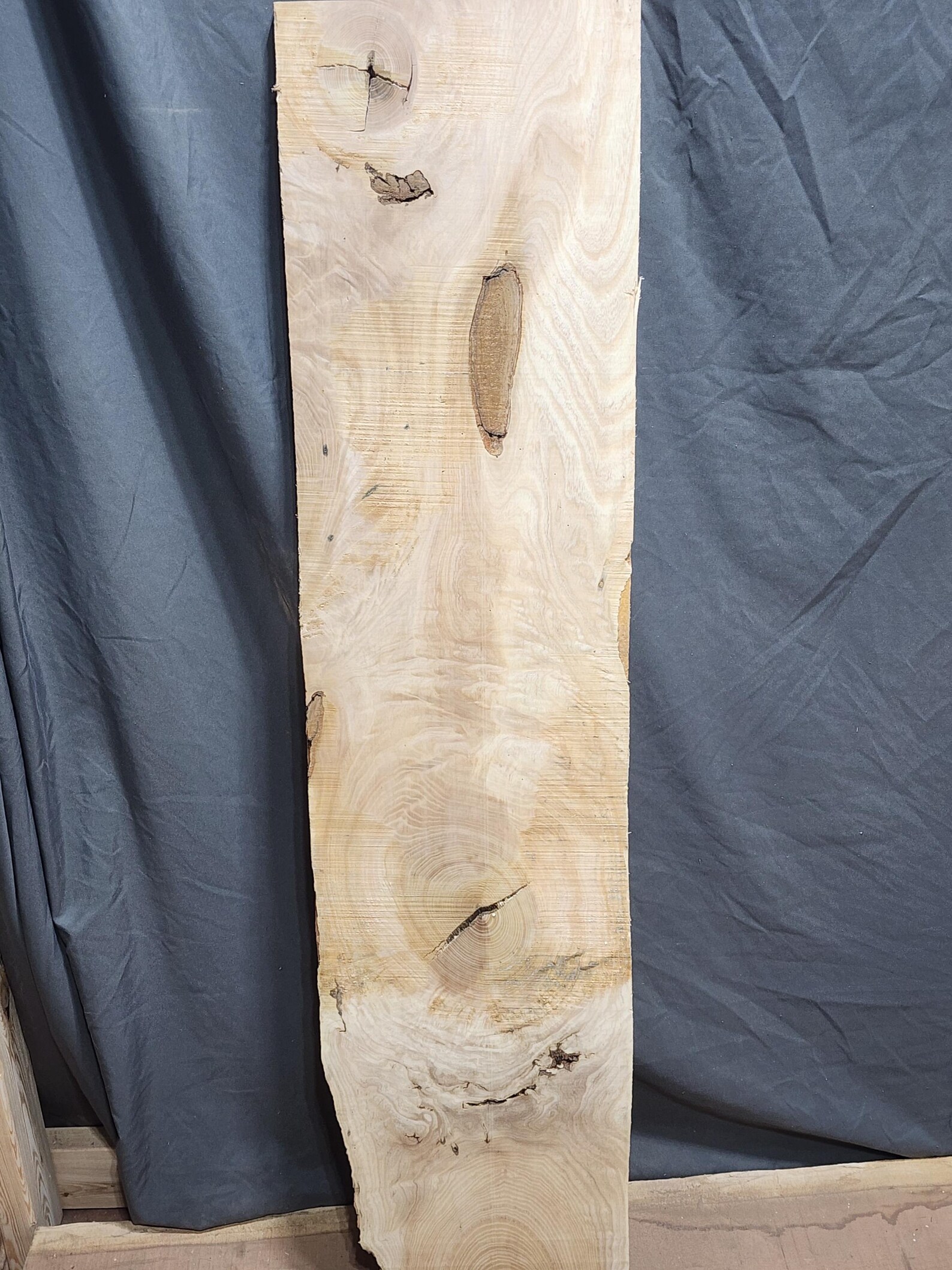 Worm Ash Live Edge Kiln Dried Beautiful Board 4ft X 11 1/2" 1" Great ...