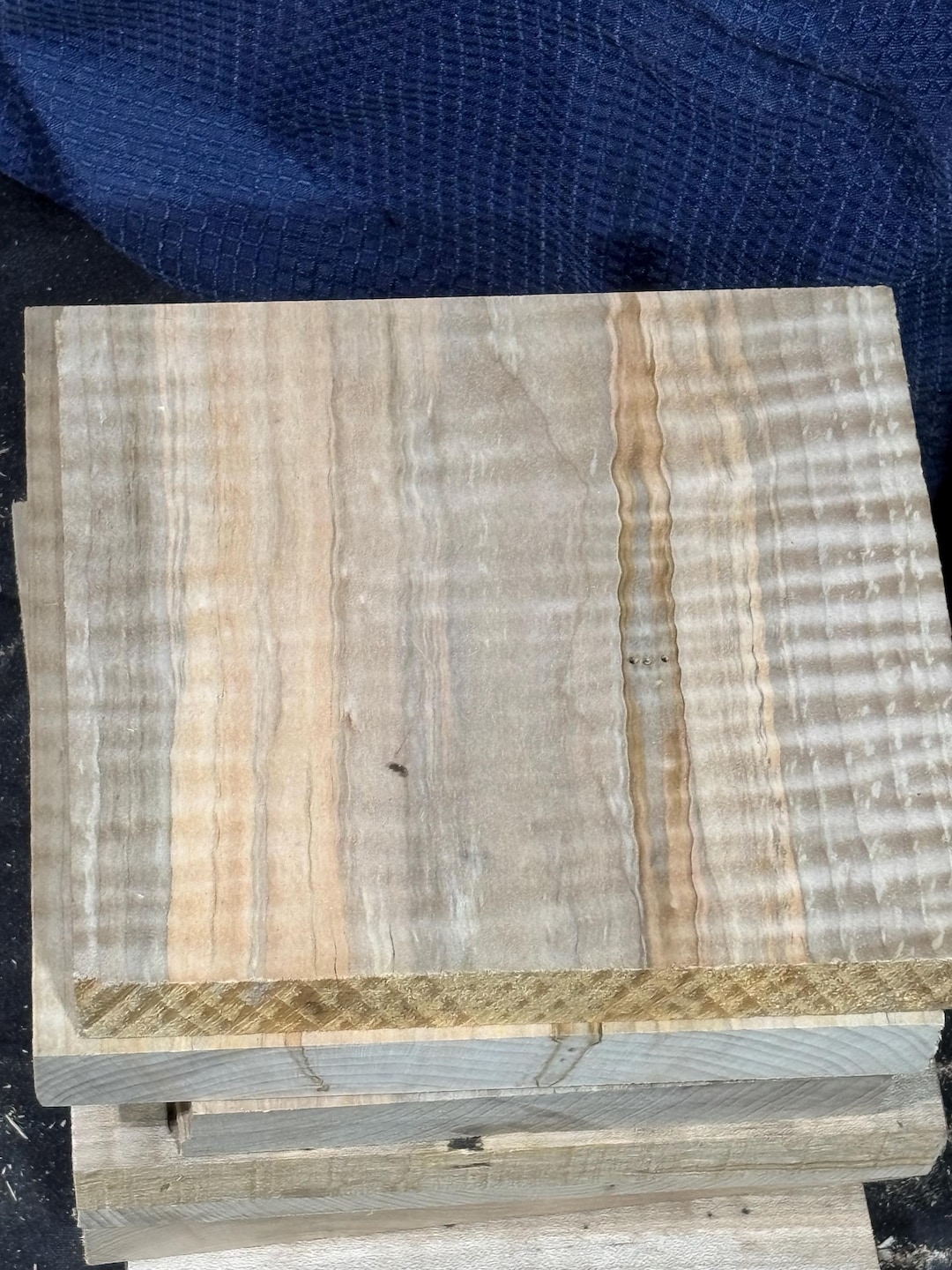 7 (seven) Ambrosia Curly Hard Maple Blank Pieces Kiln Dried Great for ...